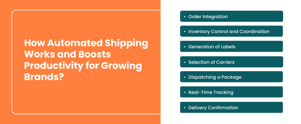 Automated Shipping System: How It Works and Boost Productivity for ...